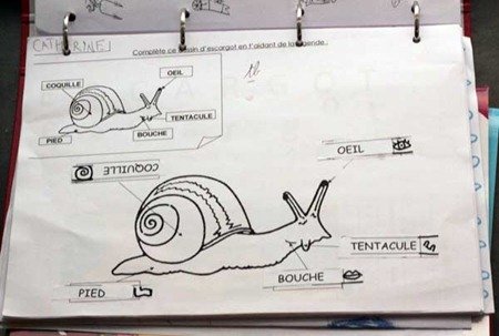 French Preschool in France: What's It Like?