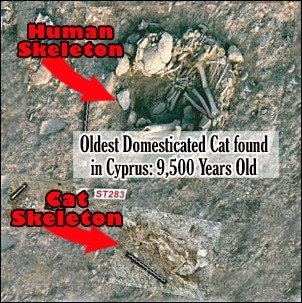 42 Interesting facts about Cyprus: The EU country with Greek roots