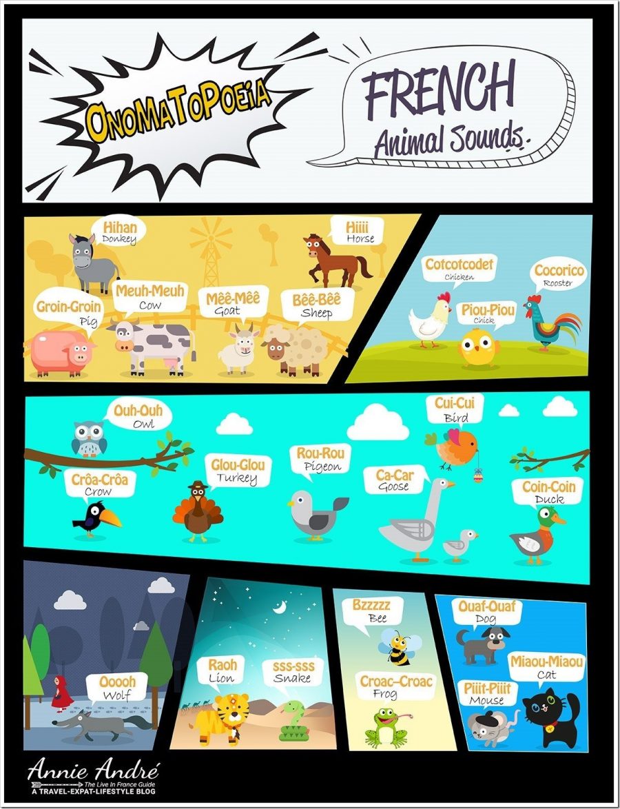 25 Funny French Animal Sounds And Noises + Video Pronunciation