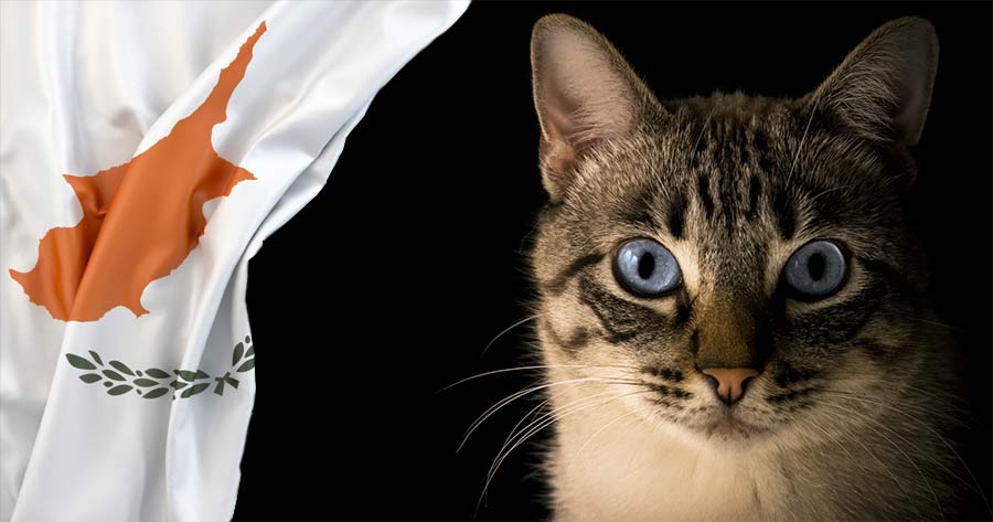 42 Interesting Facts About Cyprus: The EU Country You Never Knew You Wanted