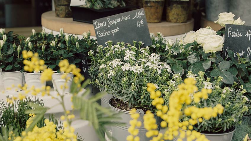 200+ types of French shop names in France, businesses & services too