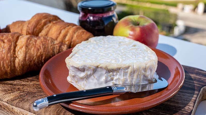 17 Famous French stinky cheeses adored in France, feared by others