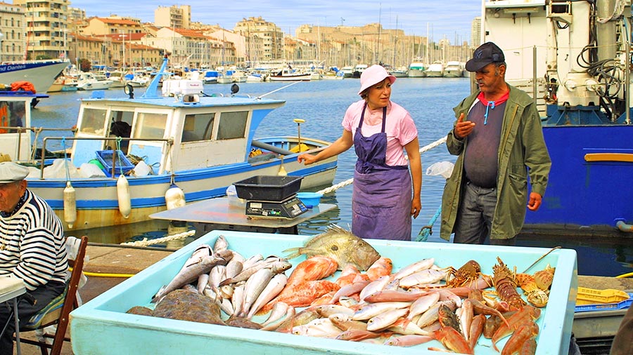 67 seafood and fish names in French
