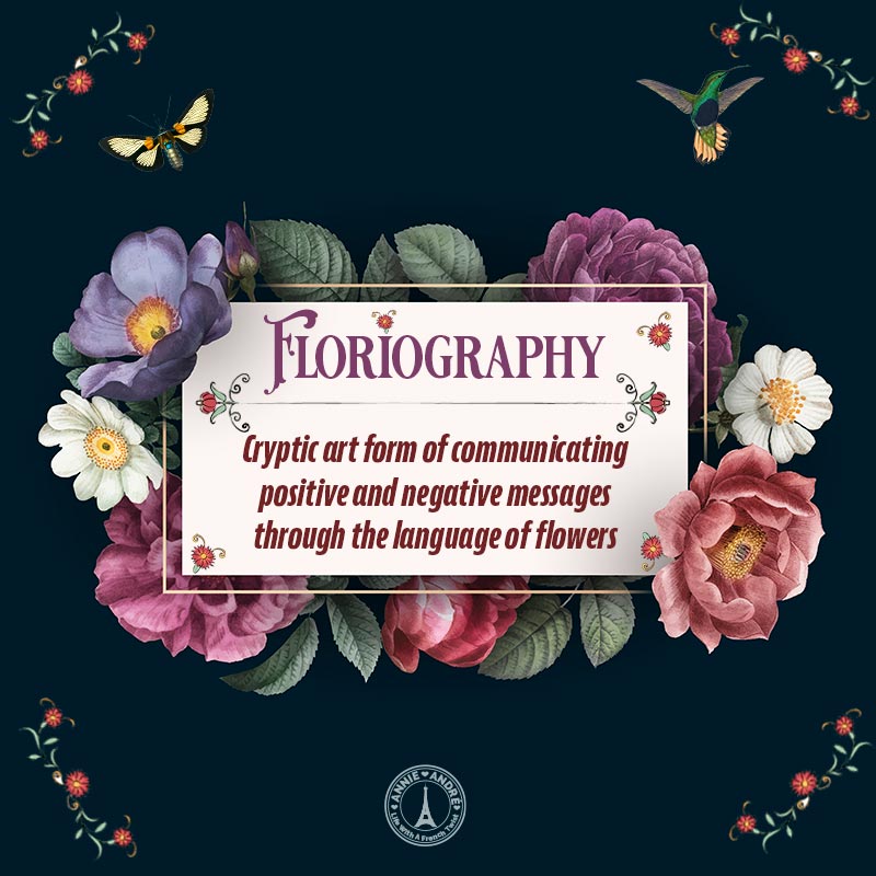 What is Floriography? The forgotten history of the Language of flowers