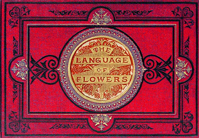 Popular flowers in France + their French flower names & meanings