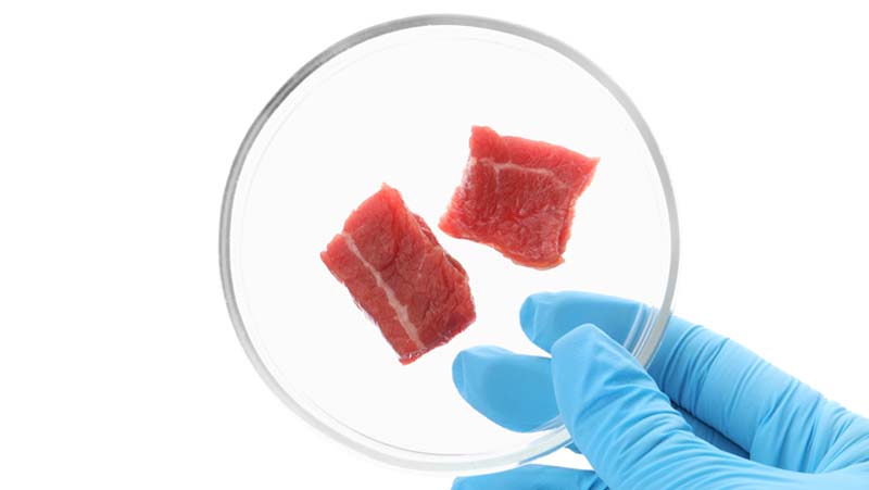 What is steak tartare: Raw Facts about Your Burning Questions