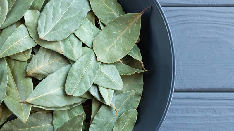 French herbs, spices & seasonings used in French cuisine