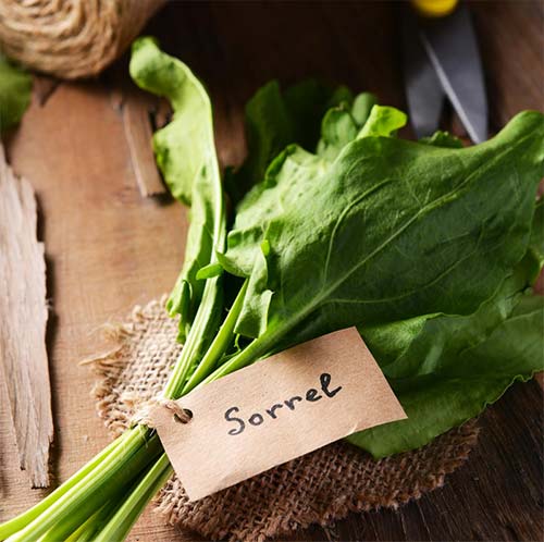 French herbs, spices & seasonings used in French cuisine