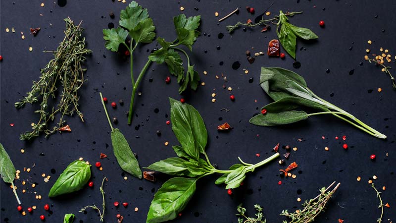 French herbs, spices & seasonings used in French cuisine