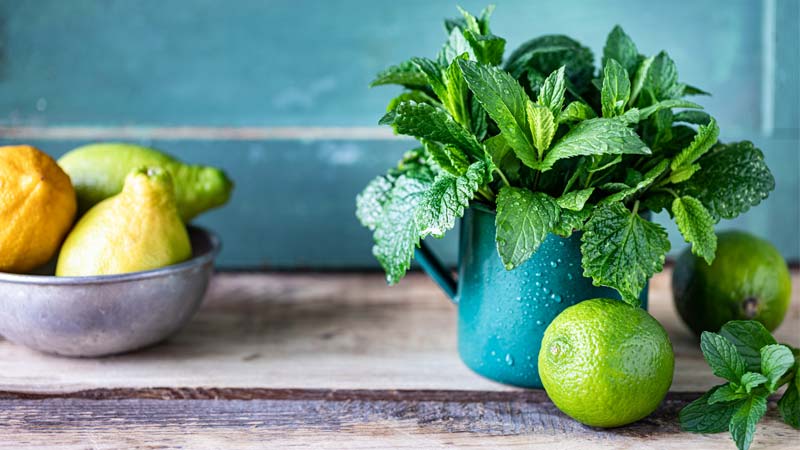 French herbs, spices & seasonings used in French cuisine