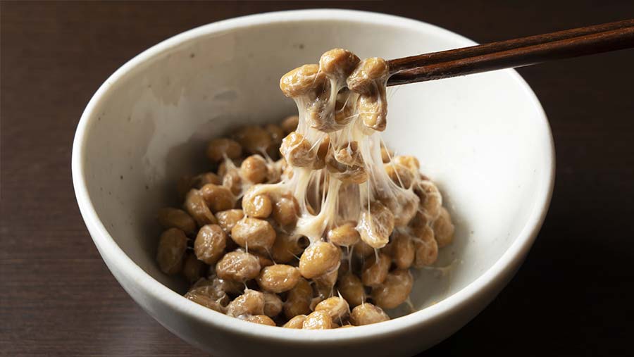 Why people love stinky cheese & smelly foods, according to science!